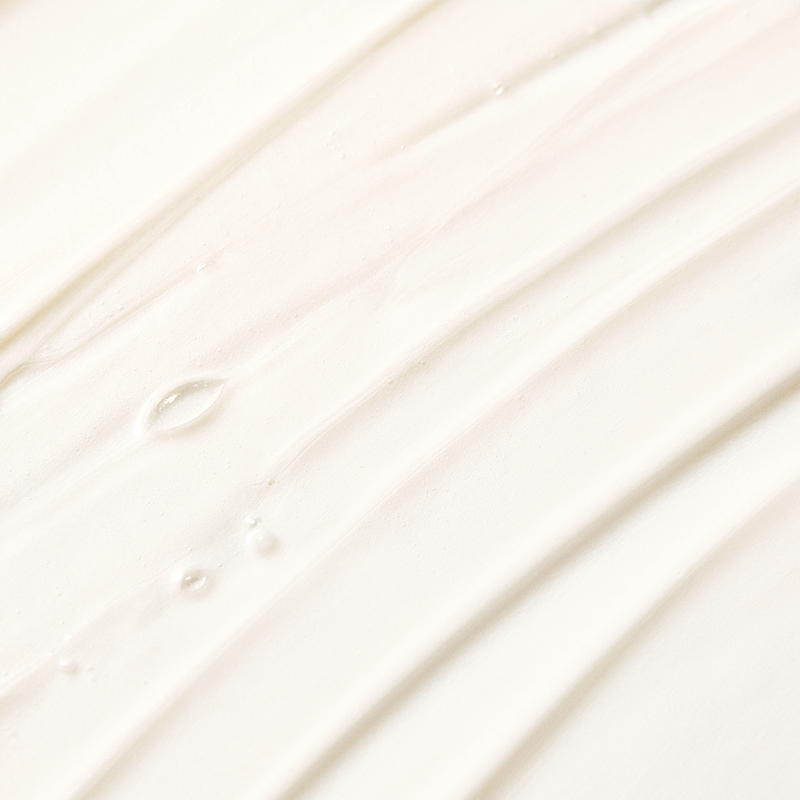 Ginseng Royal Silk Foam Cleanser – Nature Republic UK