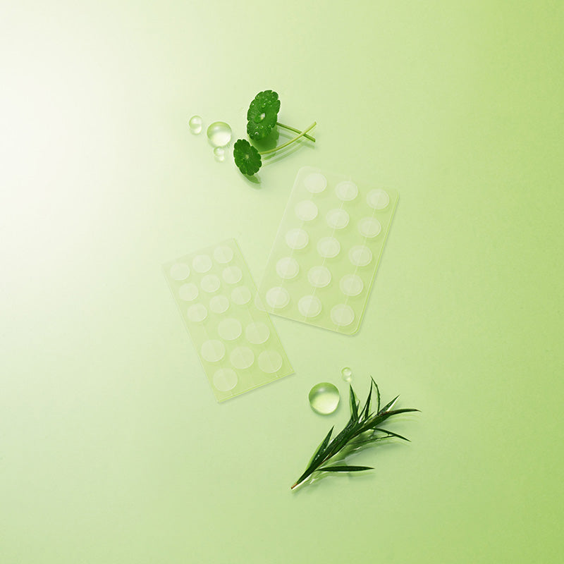 Green Derma Tea Tree Cica Relief Care Spot Patch – Nature Republic UK